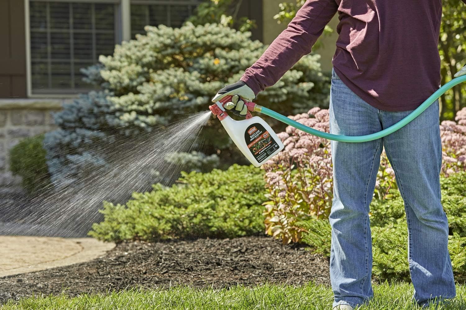 Ortho BugClear Insect Killer review | Pest Control'd