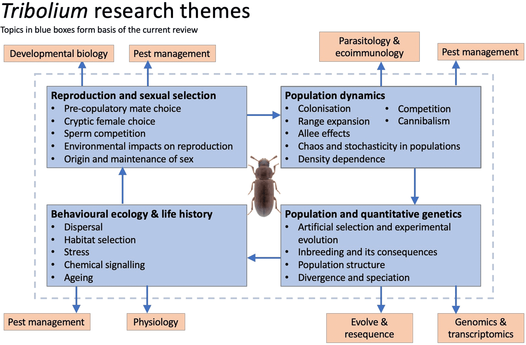 The Evolution Of Pests: A Historical Perspective | Pest Control'd